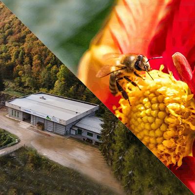 Transizione Ecologica e Decarbonizzazione | Edison Next