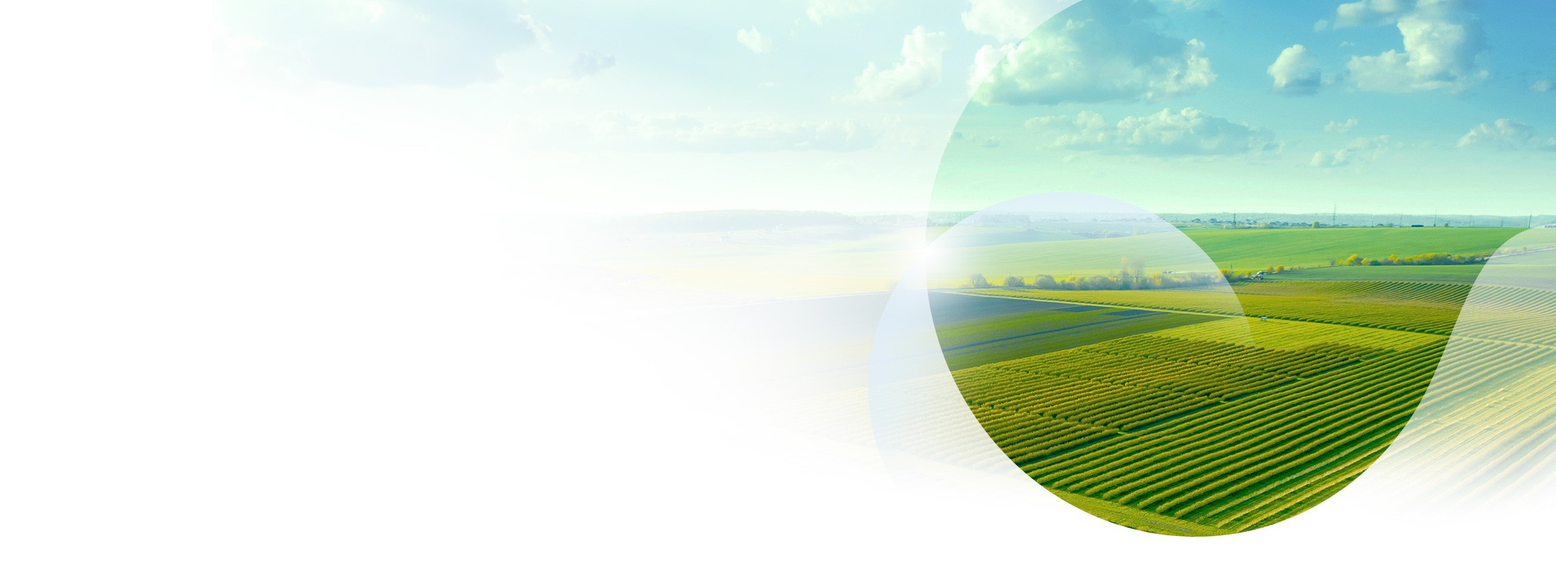 Circular Economy: solutions for sustainability | Edison Next
